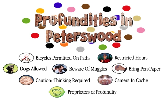 GCKAC3 Profundities In Peterswood? (Unknown Cache) in Pennsylvania ...